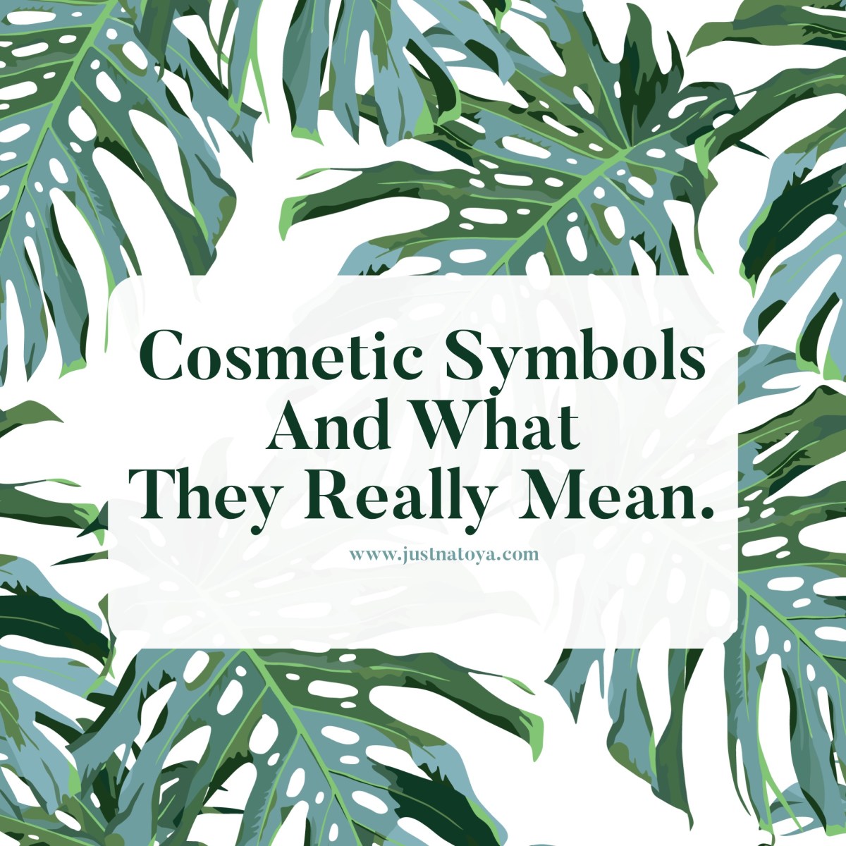 Cosmetic Symbols and What They Really Mean. – Just Natoya